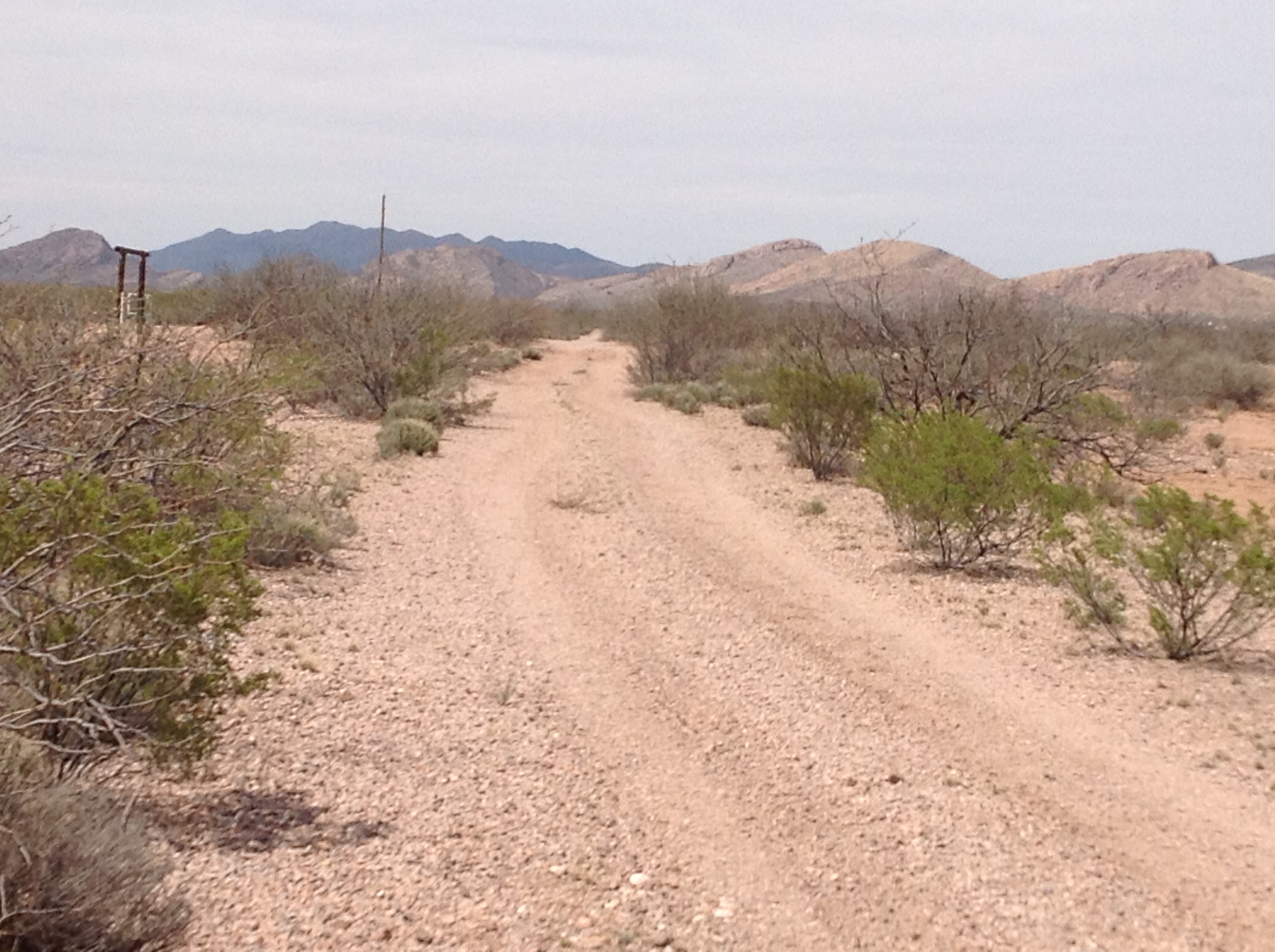 Pending-5.05 Acres Flat Rectangular Shaped Desert open Land Douglas ...