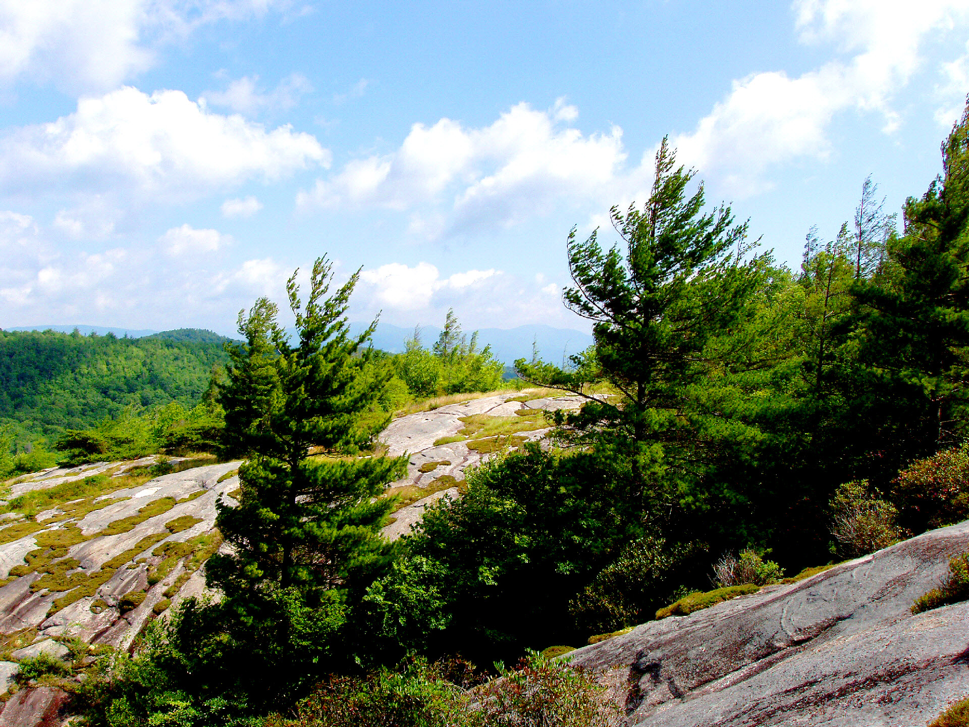 Pending-10.26 Acres Gorgeous and Secluded Land in Gunnison, Colorado ...